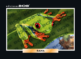 Ediciones Bob | Rana (50 pzas)