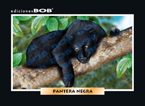 Ediciones Bob | Pantera negra (50 pzas)