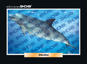 Ediciones Bob | Delfín (50 pzas)
