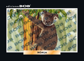 Ediciones Bob | Koala (50 pzas)