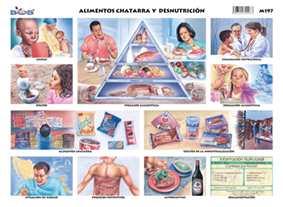 Ediciones Bob | Desnutrición y alimentos chatarra (25 pzas)